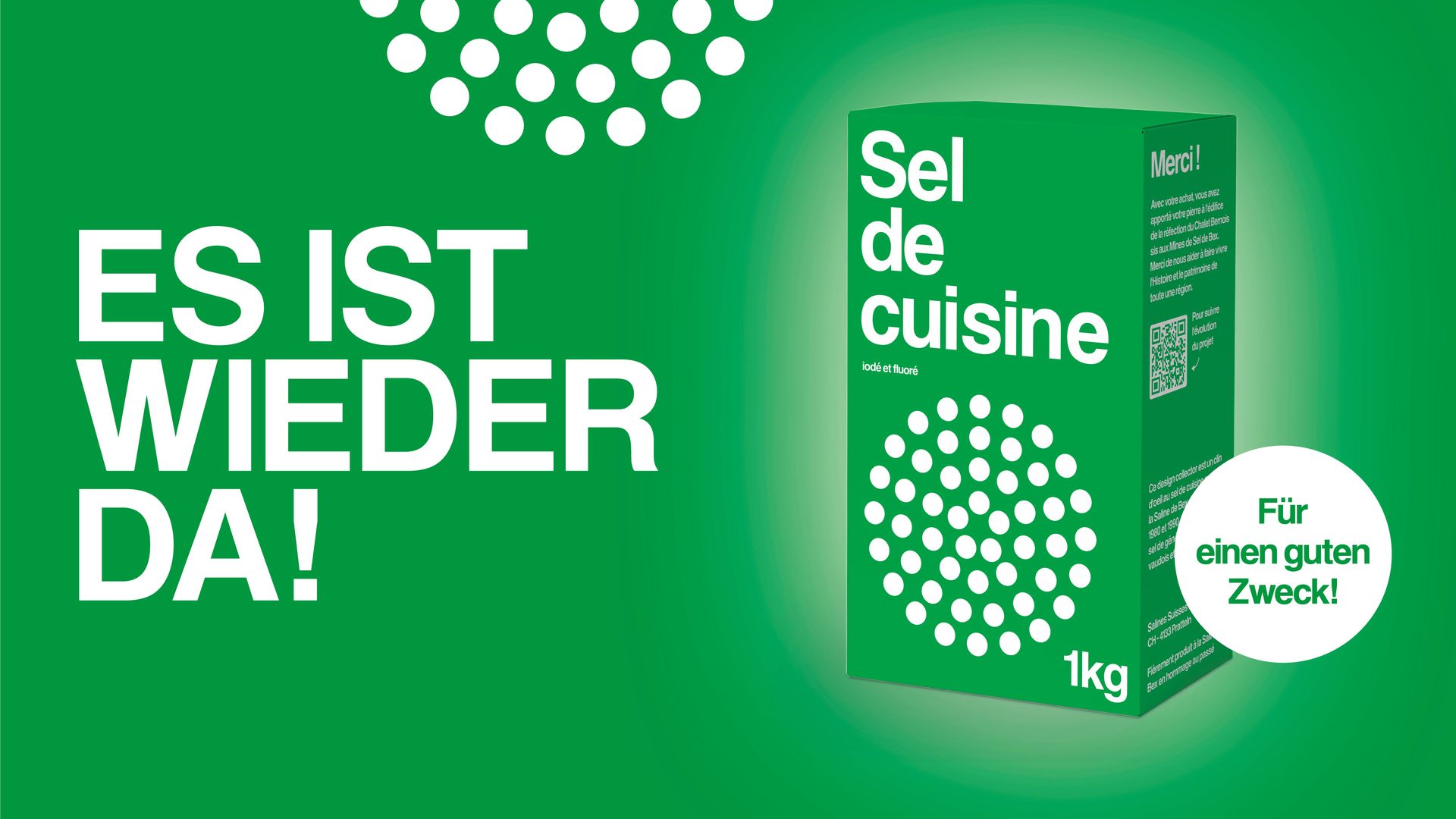 ⚒️ Mines de Sel de Bex | Salina Helvetica